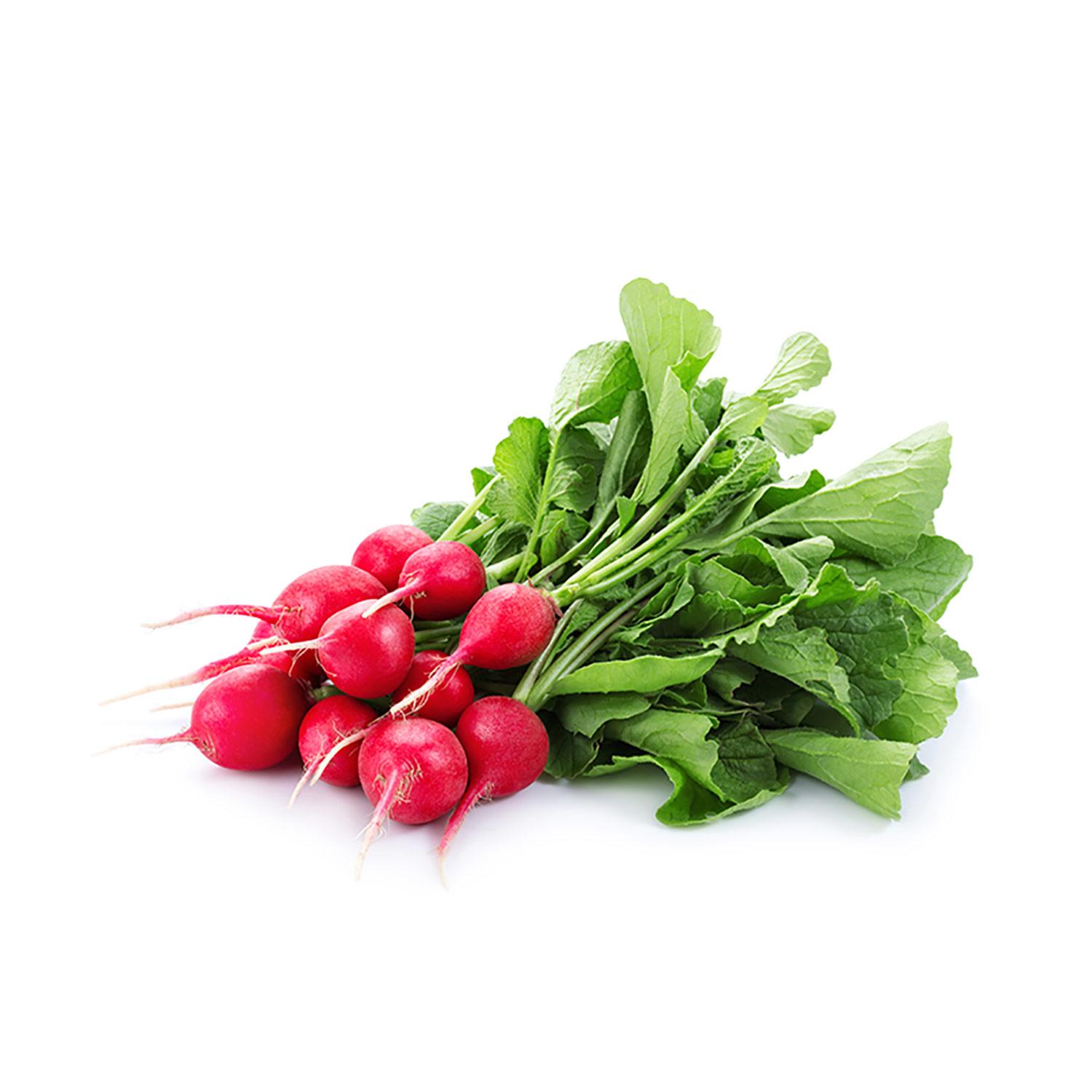 Organic Bunched Red Radishes