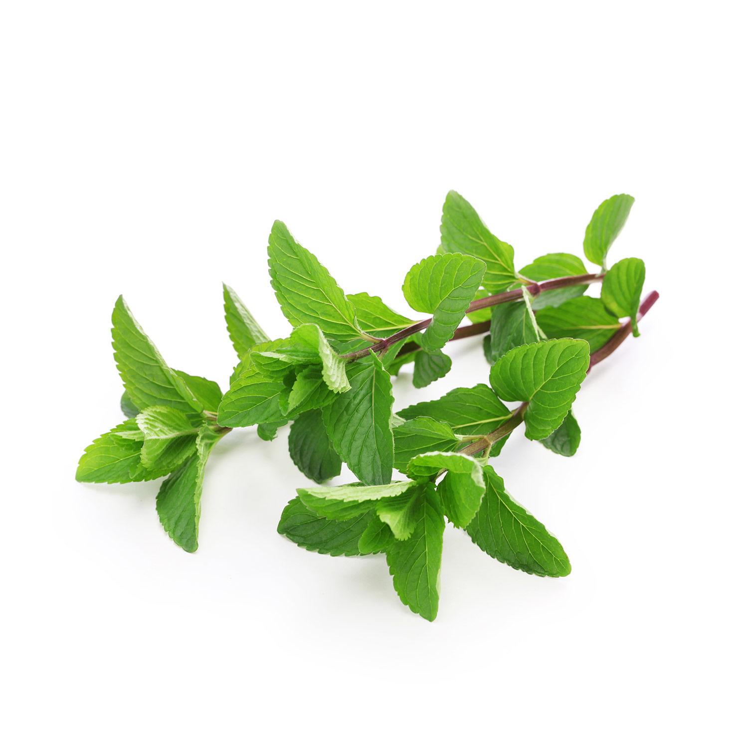 Organic Fresh Mint, 0.75 Oz