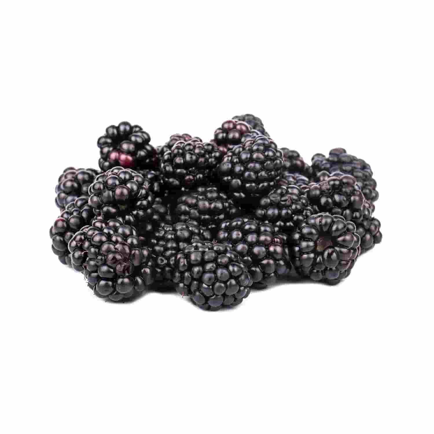Organic Blackberries, 6 Oz