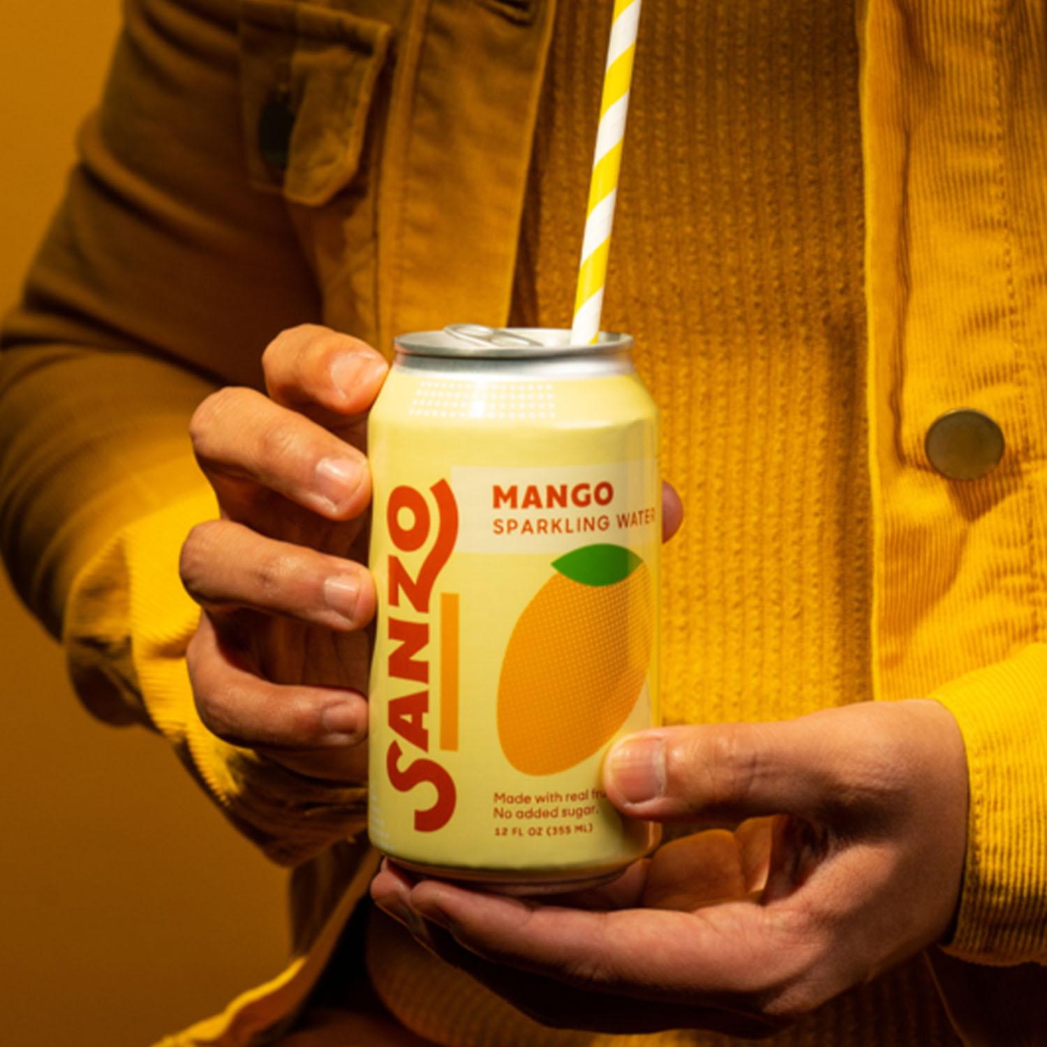 Sparkling Water, Mango , 12 Fl Oz