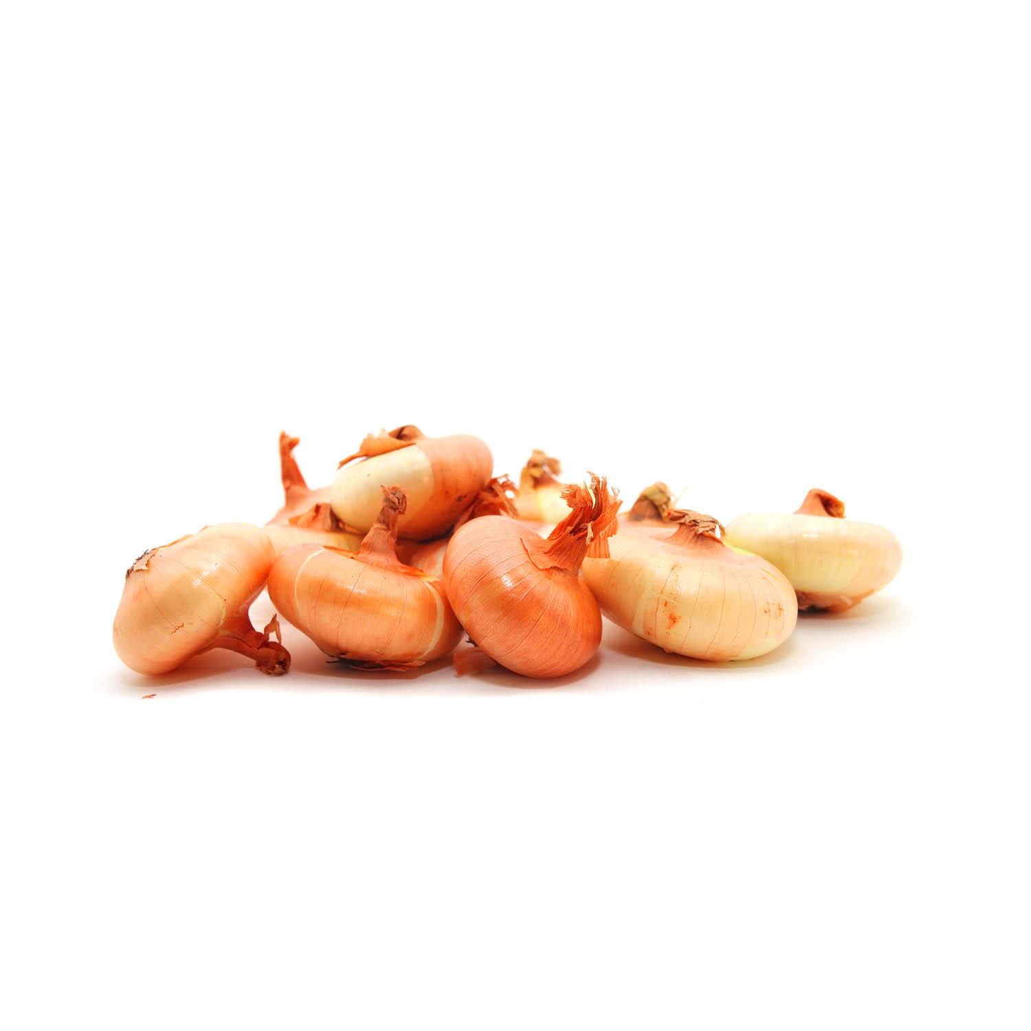 Organic Cipollini Onions, 1 Lb