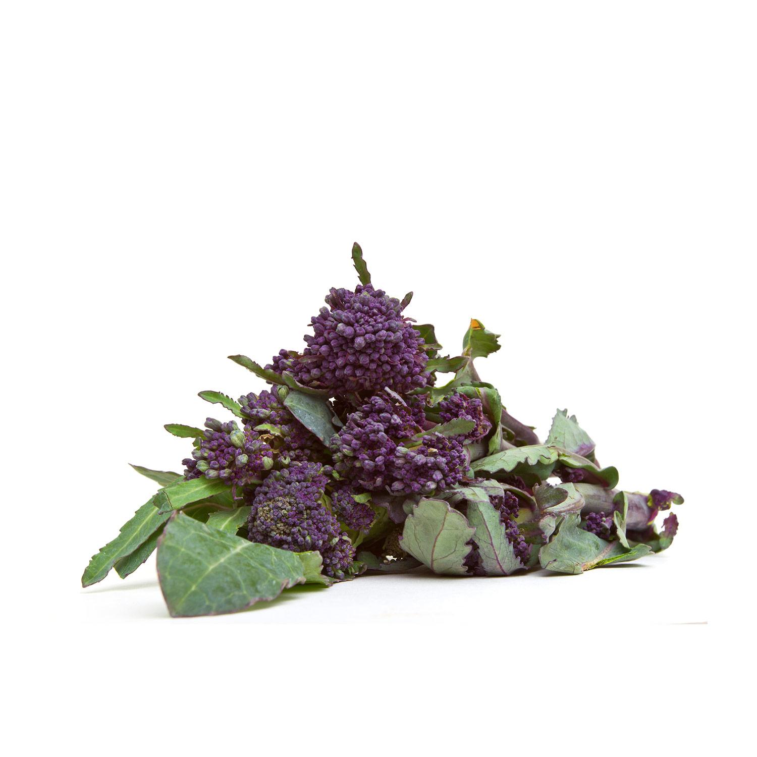 Organic Purple Broccolini