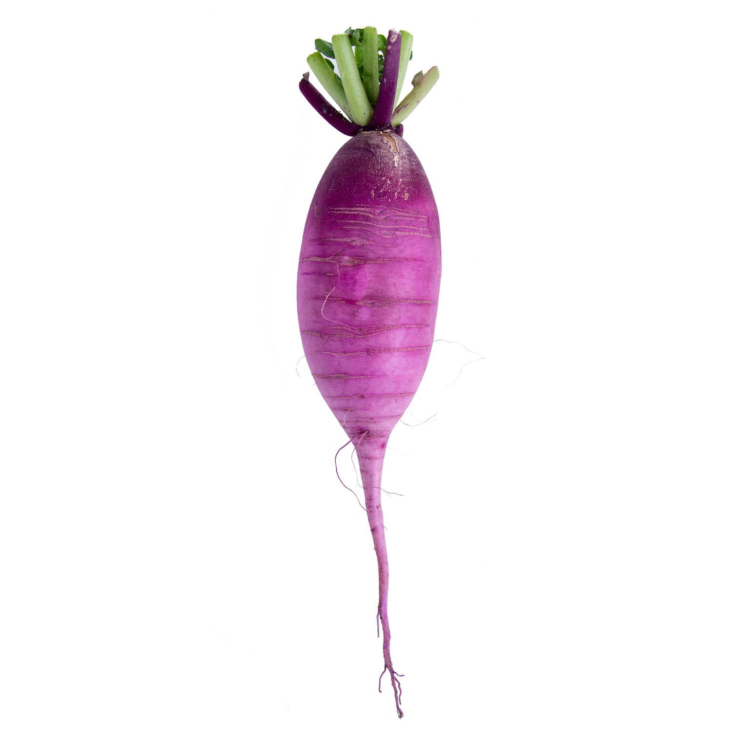 Organic Purple Daikon Radishes