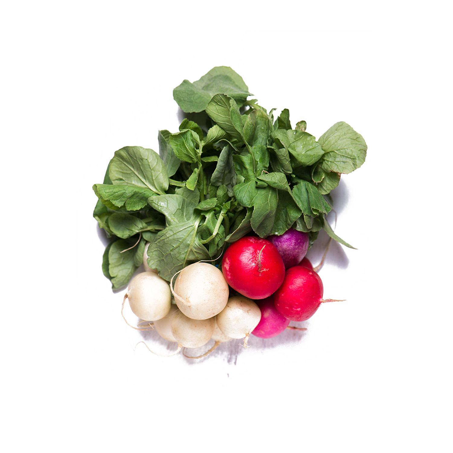 Organic Easter Egg Radishes