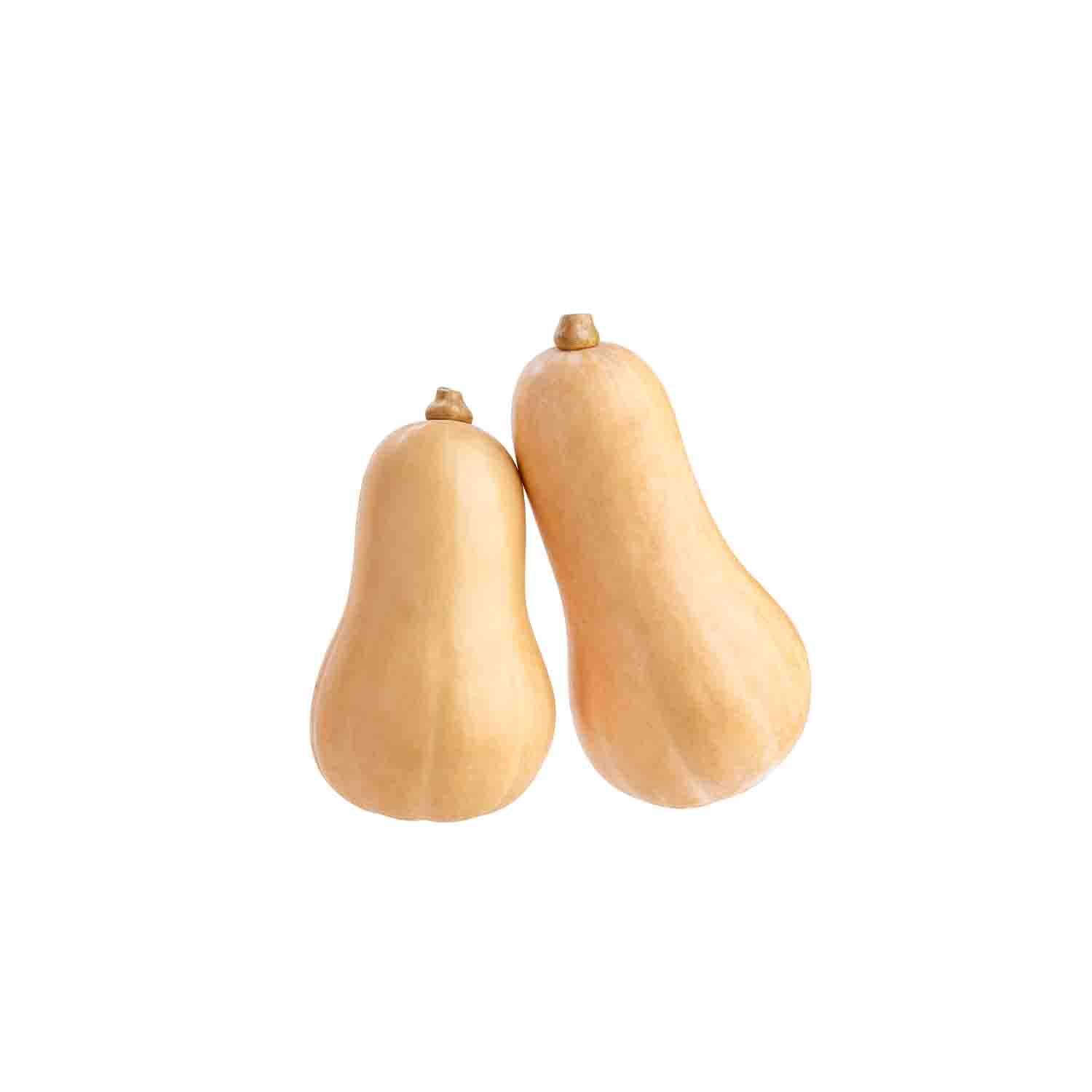 Organic Mini Butternut Squash