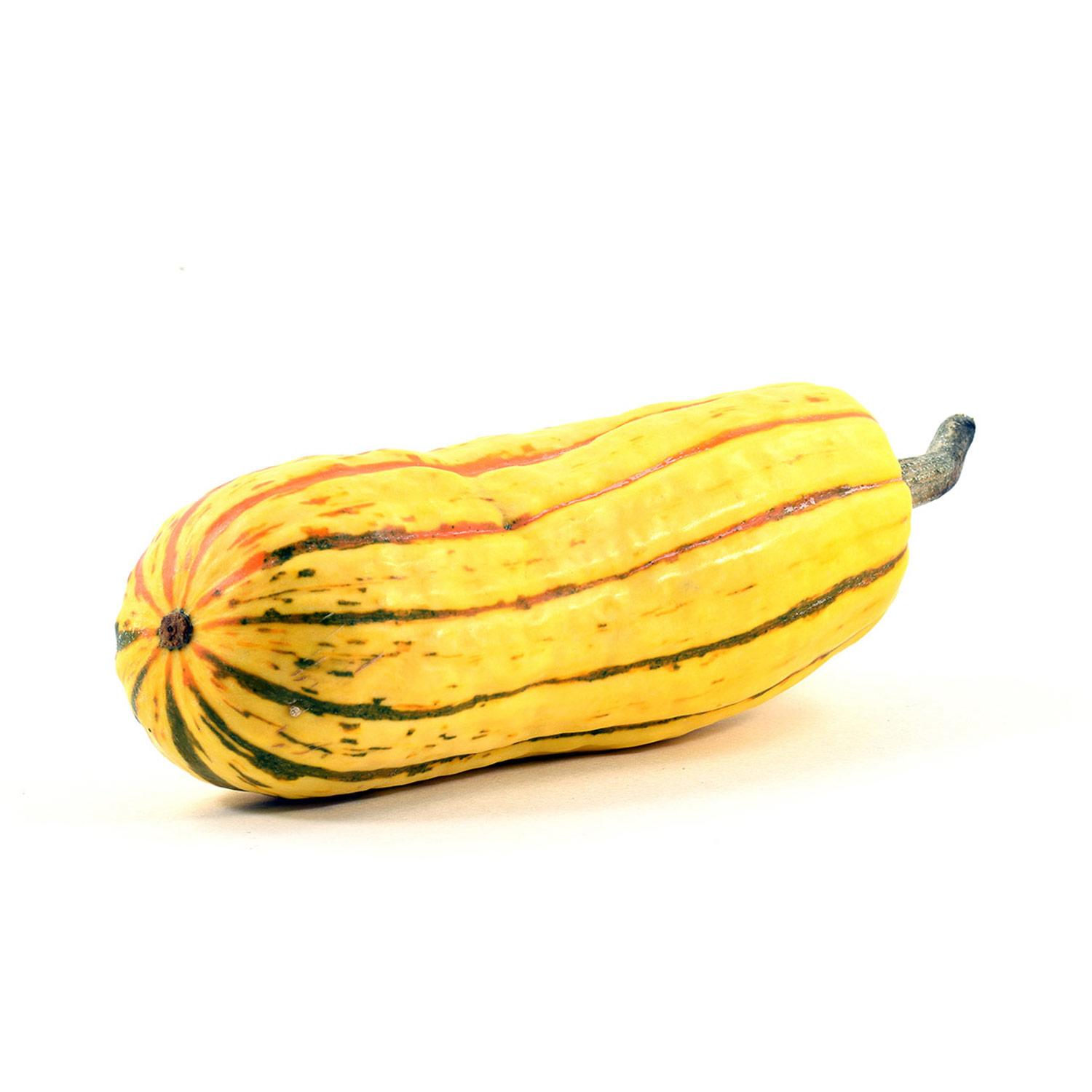 Organic Small Delicata Squash