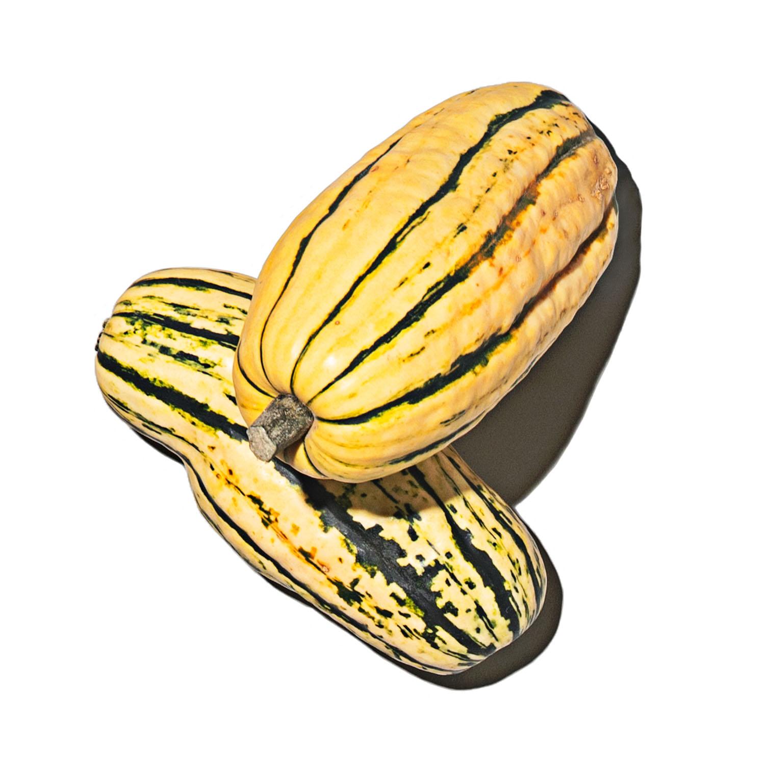 Organic Small Delicata Squash