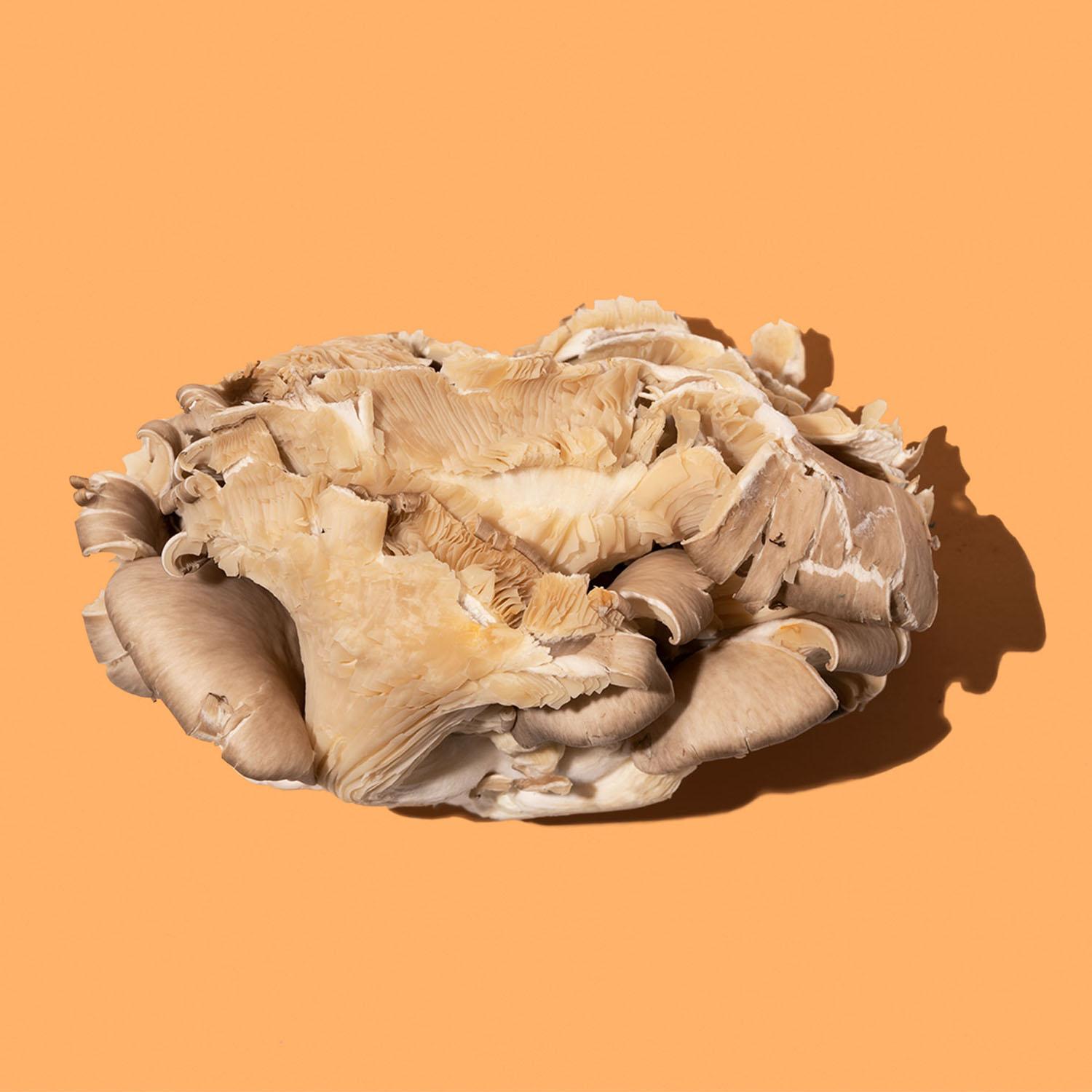 Organic Oyster Mushrooms, 6 Oz