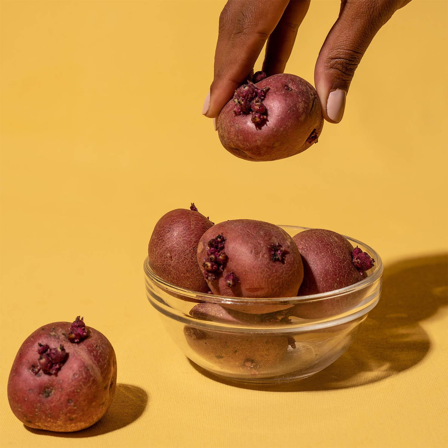 Organic Small Red Potatoes, 6 Ct