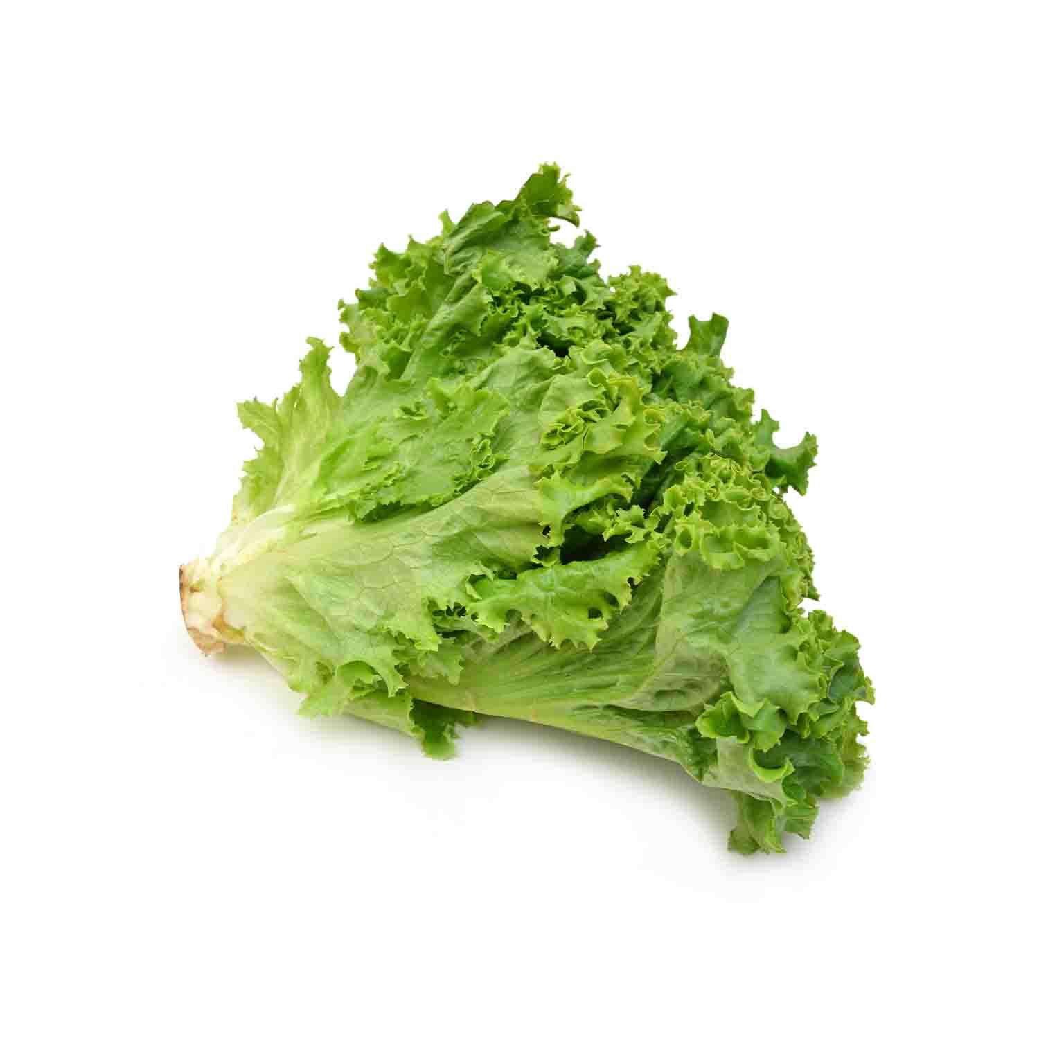 Green Leaf Lettuce