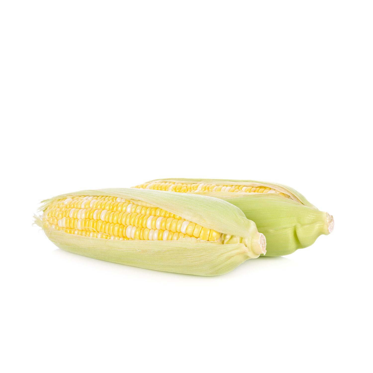 Organic Bi-Color Corn