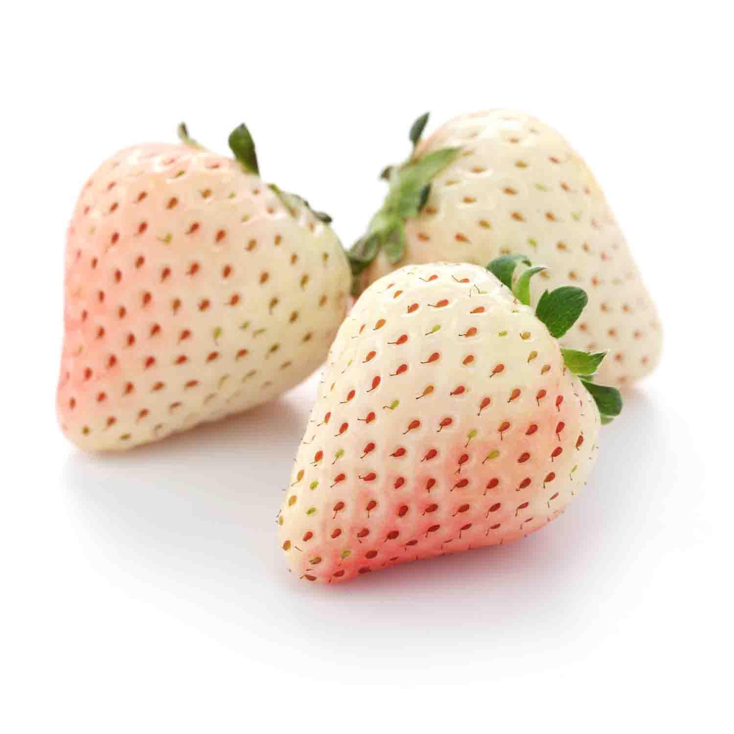 Pineberries, 10 Oz