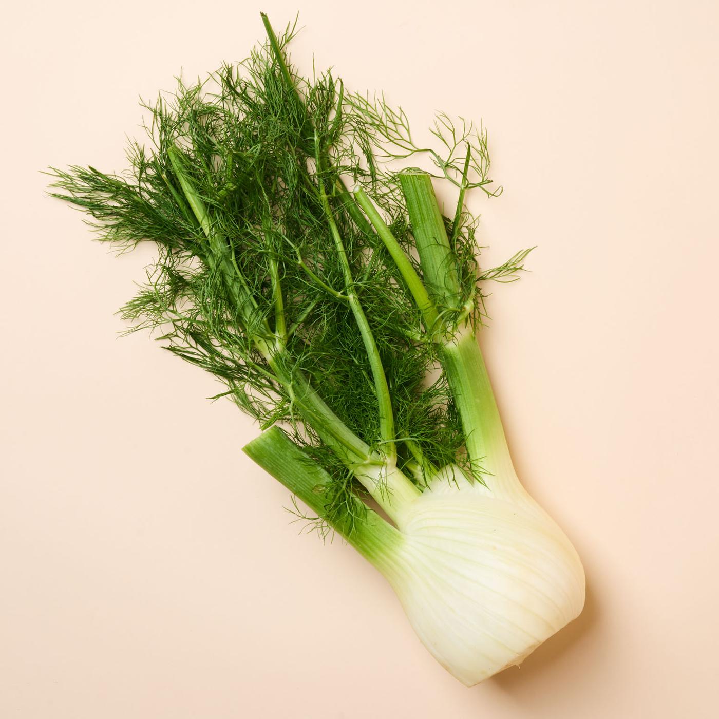 Organic Fennel