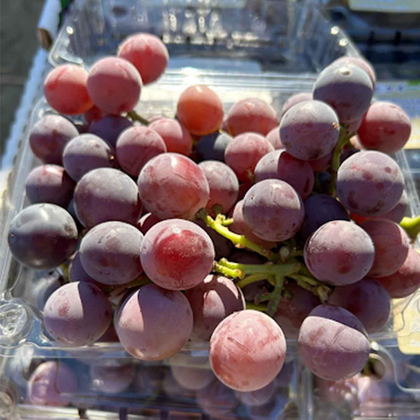 Kyoho Seeded Grapes, 2 Lbs