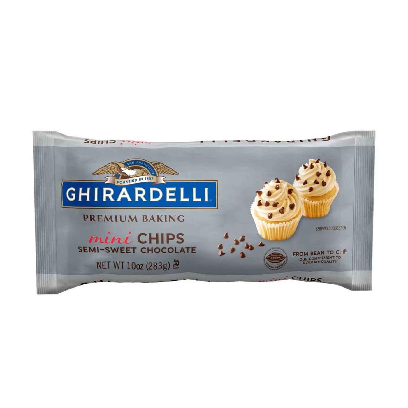 Semi-Sweet Mini Chocolate Baking Chips, 10 Oz