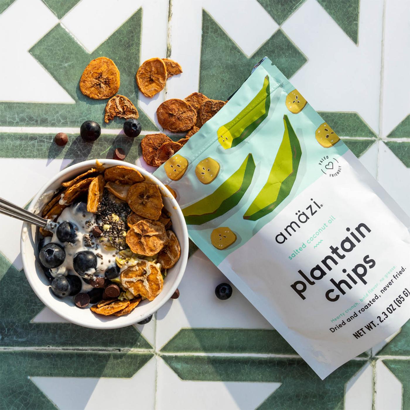 Plantain Chips, Salted Coconut Oil, 2.3 Oz