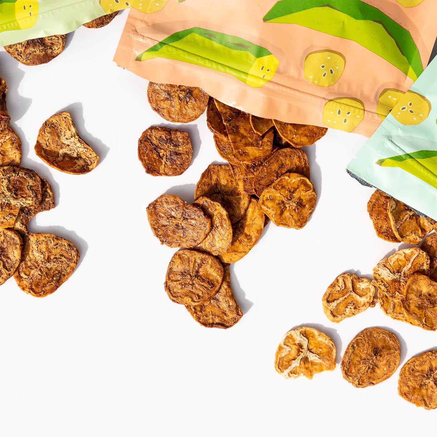 Plantain Chips, Salted Coconut Oil, 2.3 Oz