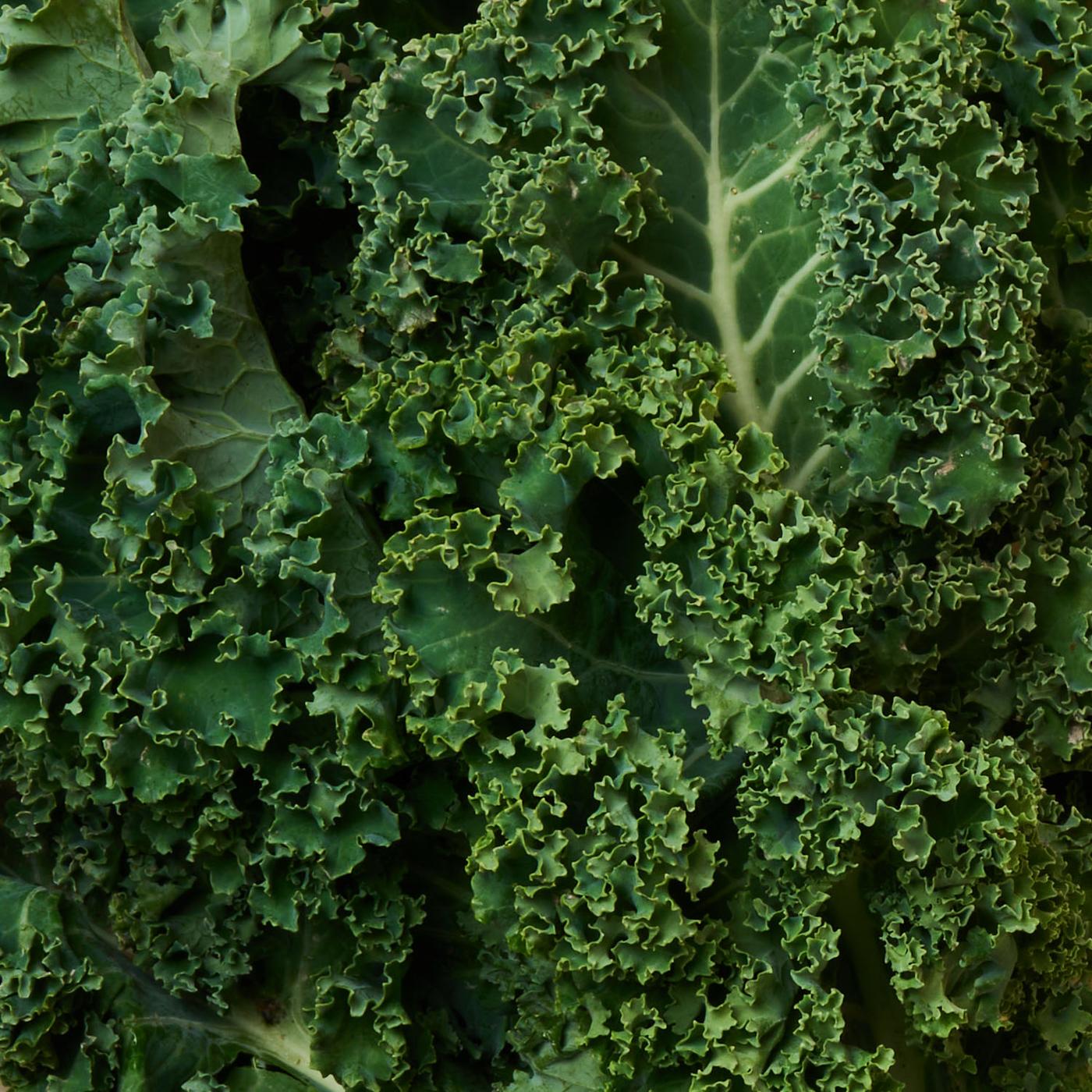 Organic Curly Kale