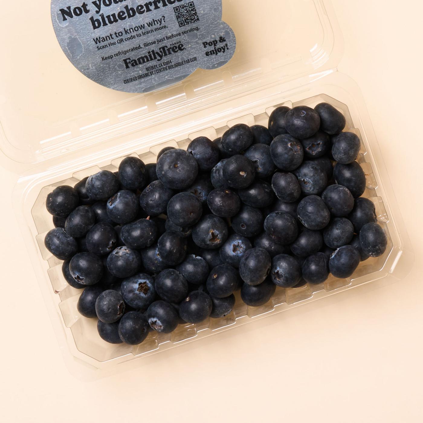 Jumboz Blueberries, 9.8 Oz
